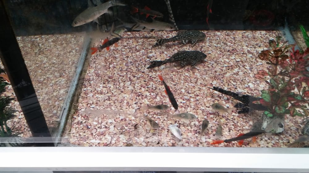 WALMART SUPERCENTER - 2800 Spring Ave SW, Decatur AL - Hours ...