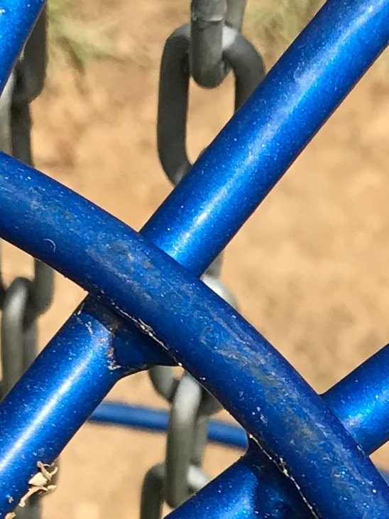 OPELIKA SPORTSPLEX & AQUATICS - Opelika AL - Hours, Directions, Reviews ...