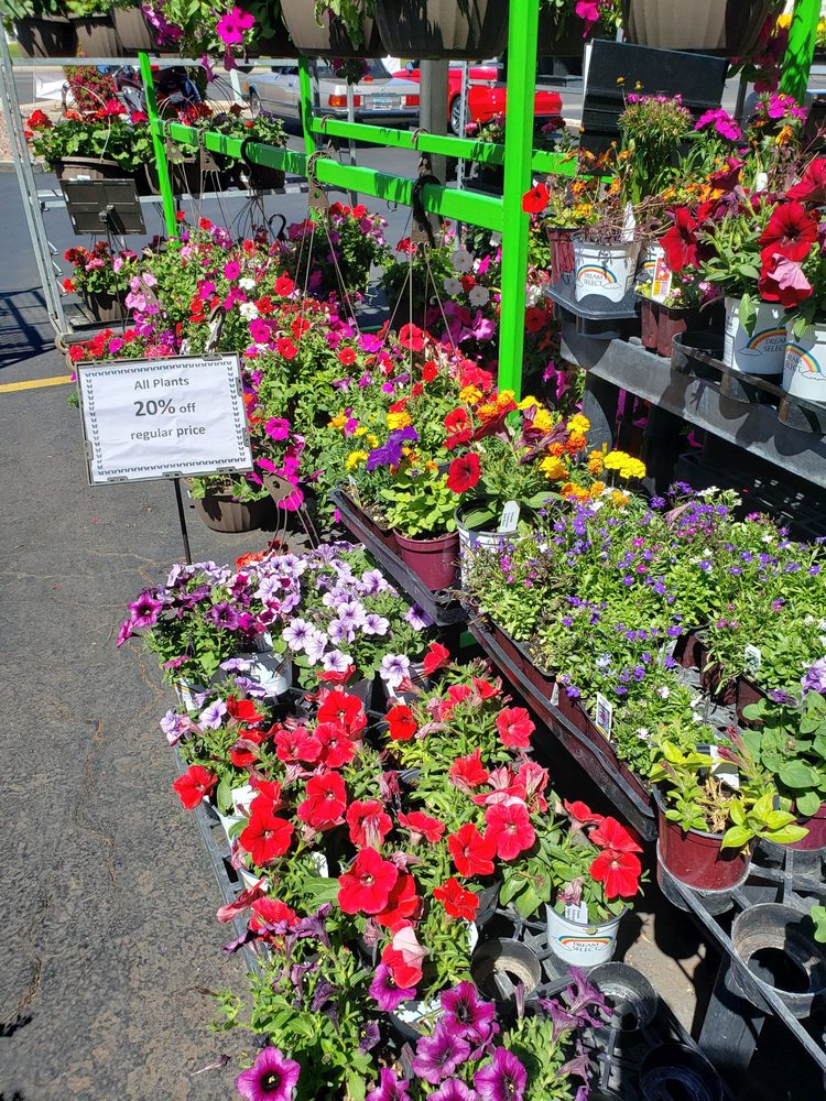 SUNWEST TRUE VALUE - 13599 W Camino Del Sol, Sun City West AZ - Hours ...