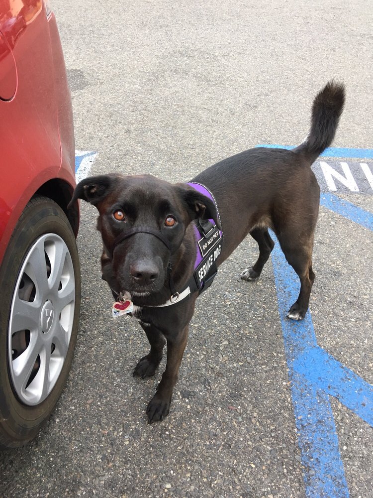 CAMP PENDLETON MCB COMMISSARY - Bldg 20850, Vandegrift Blvd, Camp ...