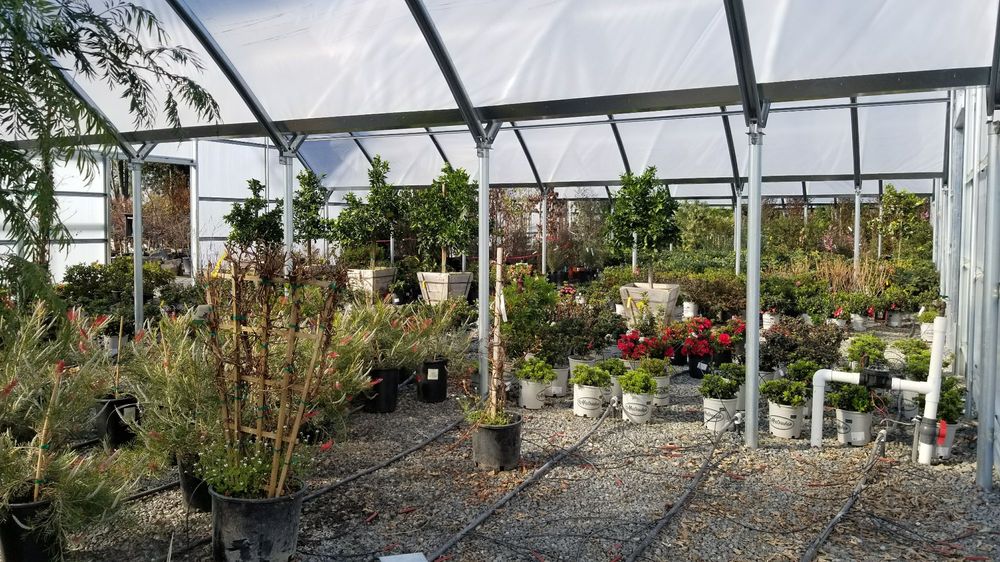 URBAN TREE FARM NURSERY - Fulton CA - Hours, Directions, Reviews ...