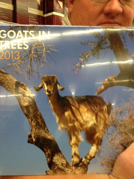 STAPLES - 20 W Olive Ave, Merced CA - Hours, Directions, Reviews ...