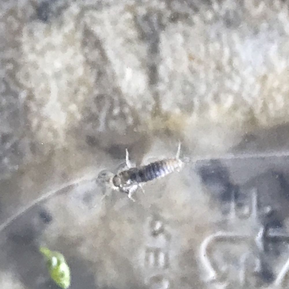 COSTCO TIRE CENTER - 4605 Morena Blvd, San Diego CA - Hours, Directions ...