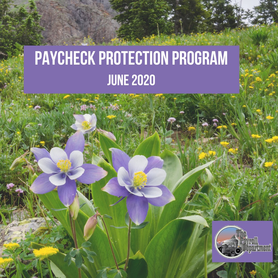 THE PAYROLL DEPARTMENT, INC. - Durango CO - Hours, Directions, Reviews ...