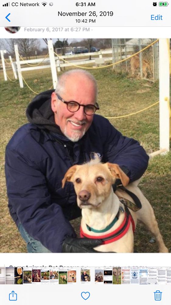 KOONS LEXUS OF WILMINGTON - Wilmington DE - Hours, Directions, Reviews ...