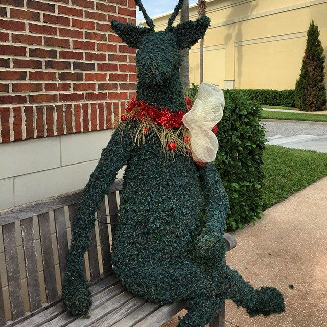 THE AVENUE VIERA - Melbourne FL - Hours, Directions, Reviews - Loc8NearMe