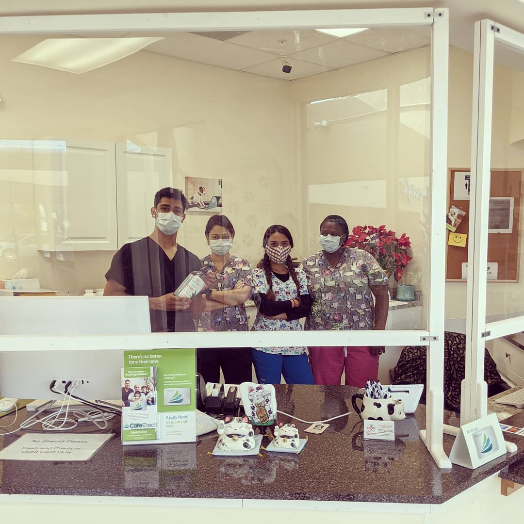 PAWS2HEALTH LLC - West Palm Beach FL - Hours, Directions, Reviews ...