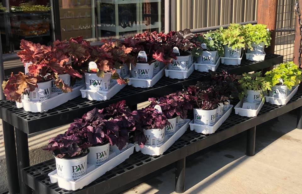 KENNEY'S ACE HARDWARE - 2880 Mount Zion Rd, Decatur IL - Hours ...