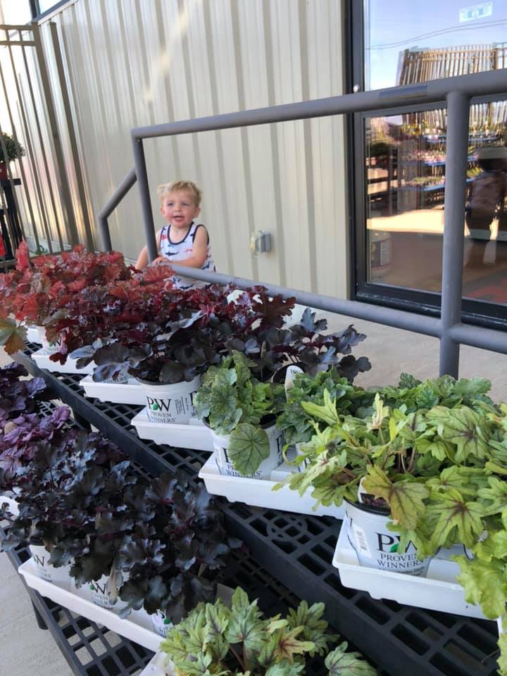 KENNEY'S ACE HARDWARE - 2880 Mount Zion Rd, Decatur IL - Hours ...