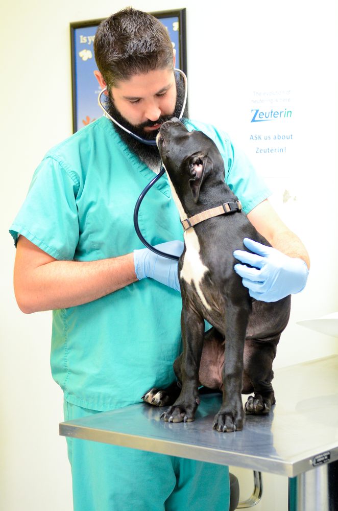 INDYHUMANE DOWNTOWN CLINIC - Indianapolis IN - Hours, Directions, Reviews - Loc8NearMe