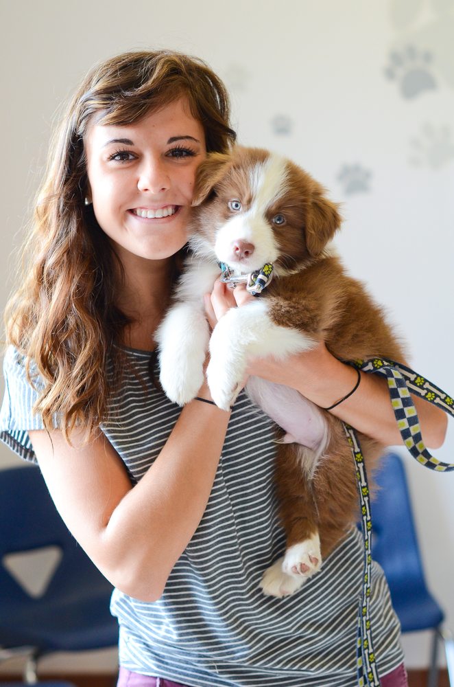 INDYHUMANE DOWNTOWN CLINIC - Indianapolis IN - Hours, Directions, Reviews - Loc8NearMe