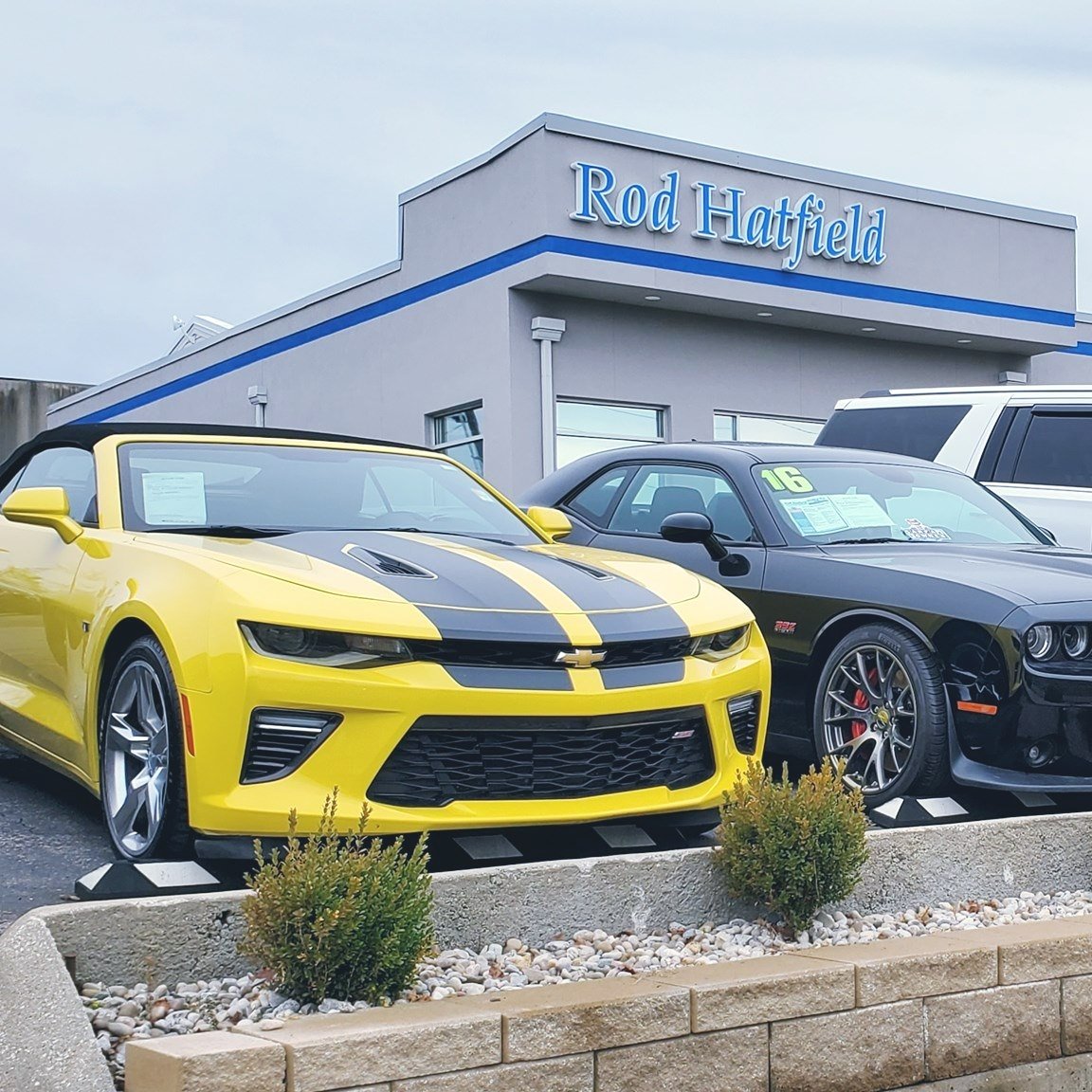 ROD HATFIELD CHEVROLET, LLC - Lexington KY - Hours, Directions, Reviews ...