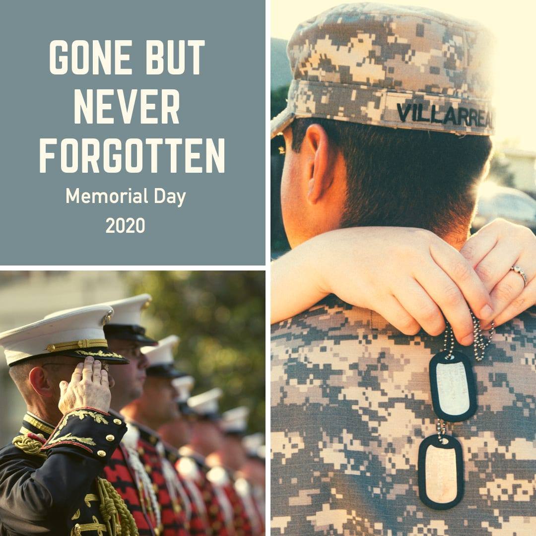 ROCHE BROS. BRIDGEWATER - Bridgewater MA - Hours, Directions, Reviews ...