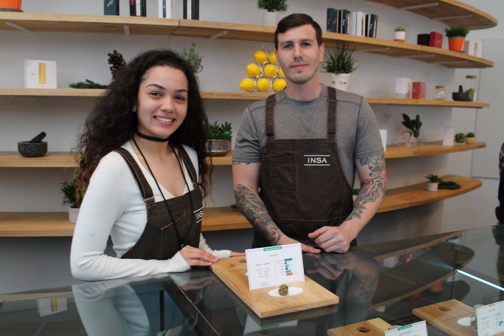 INSA MEDICAL CANNABIS DISPENSARY - SPRINGFIELD - Springfield MA - Hours ...