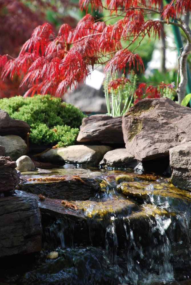 SUN NURSERIES - Woodbine MD - Hours, Directions, Reviews - Loc8NearMe