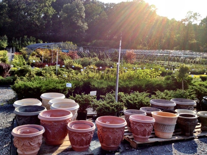 SUN NURSERIES - Woodbine MD - Hours, Directions, Reviews - Loc8NearMe