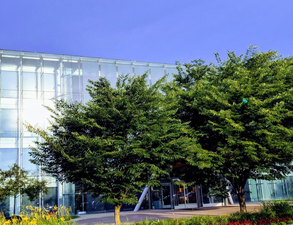 YAZAKI NORTH AMERICA INC - Canton MI - Hours, Directions, Reviews ...