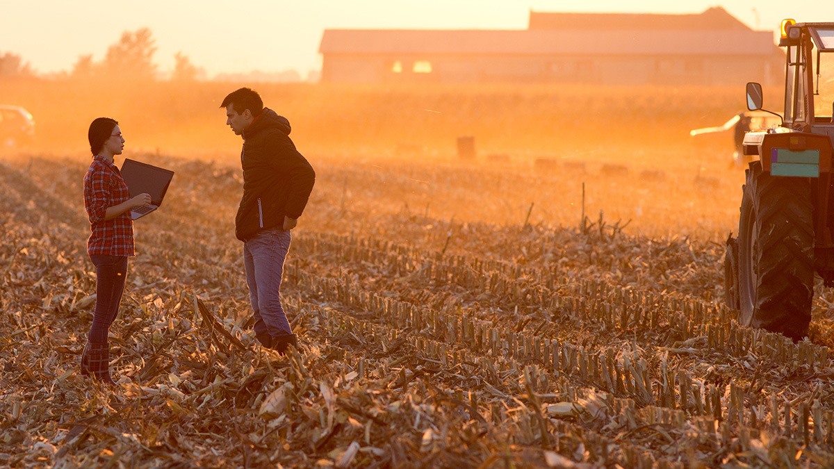 LEEDSTONE, INC. - Melrose MN - Hours, Directions, Reviews - Loc8NearMe