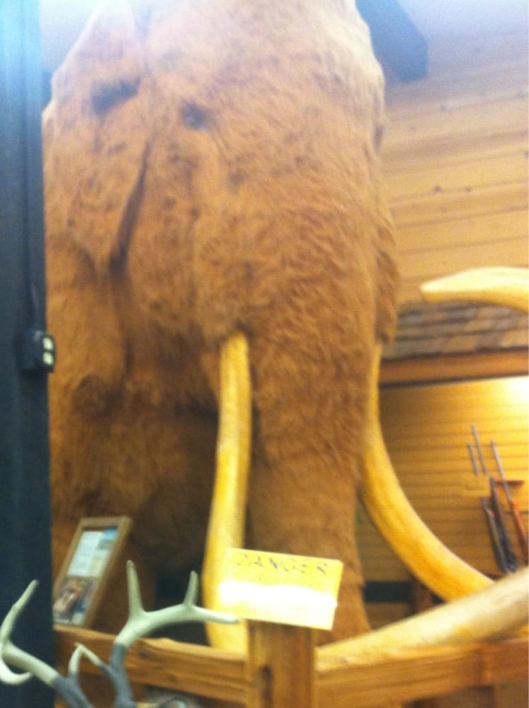 AHLMAN'S GUN SHOP - Morristown MN - Hours, Directions, Reviews - Loc8NearMe