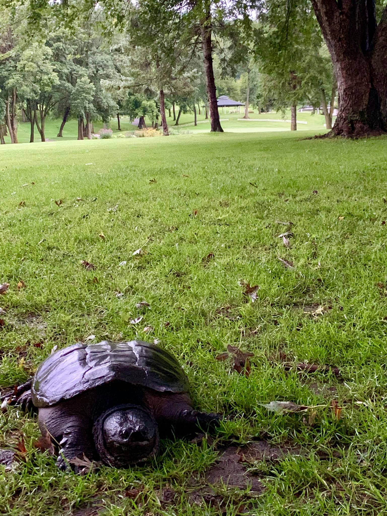 MISSISSIPPI NATIONAL GOLF LINKS - Red Wing MN - Hours, Directions ...