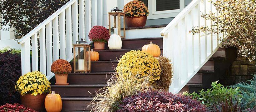 LOWE'S HOME IMPROVEMENT - 4550 Maine Ave SE, Rochester MN - Hours ...