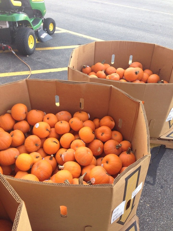 LOWE'S HOME IMPROVEMENT - 4550 Maine Ave SE, Rochester MN - Hours ...