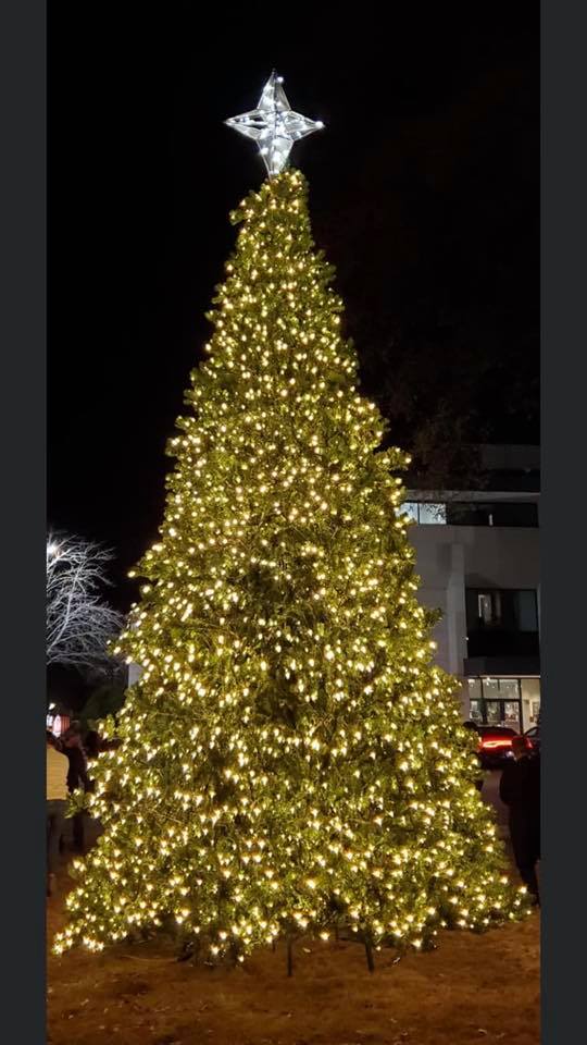 FIRST SECURITY BANK - 295 MS-6, Batesville MS - Hours, Directions ...