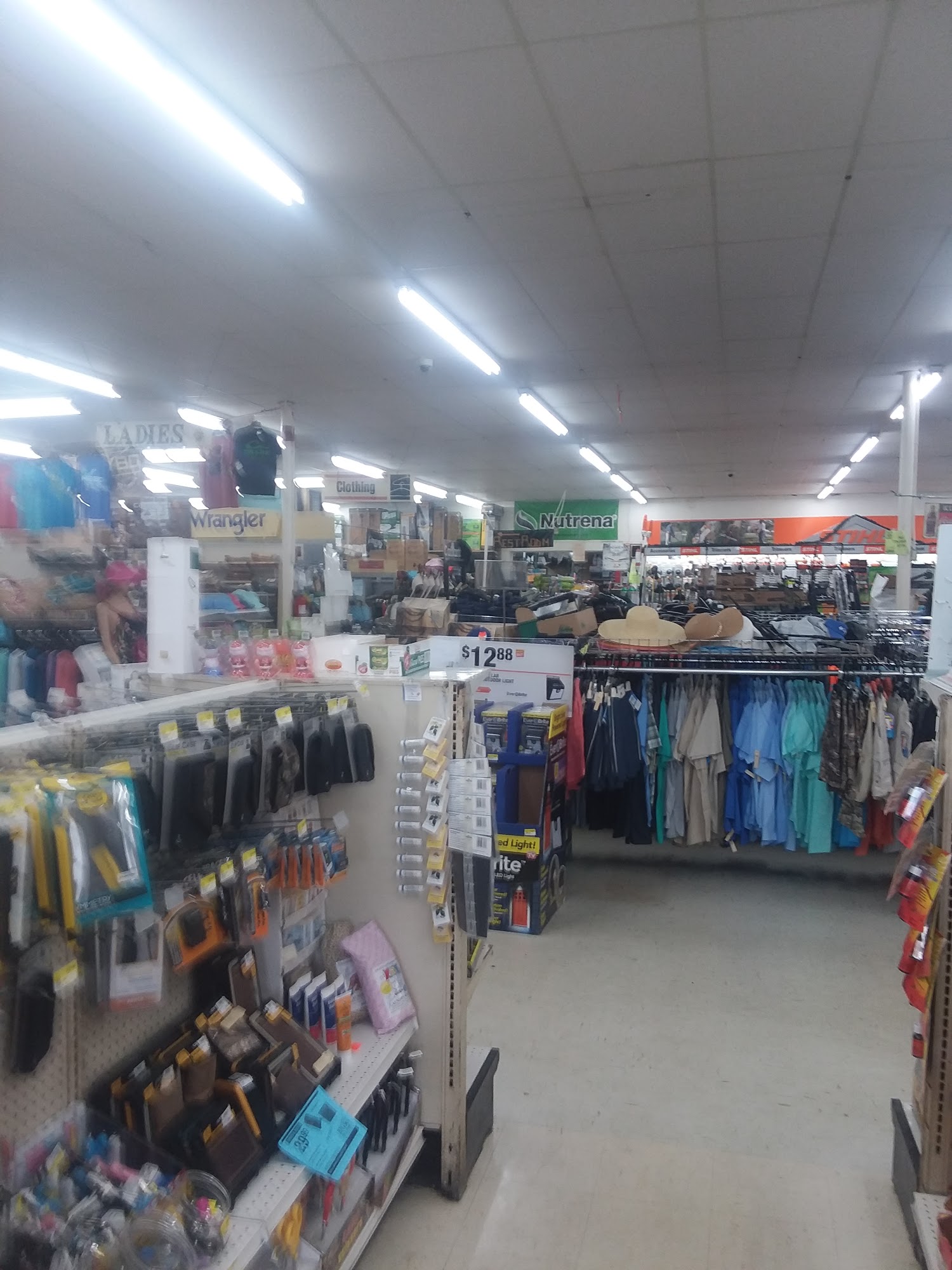 BIG BLUE STORE - KINSTON - Kinston NC - Hours, Directions, Reviews ...