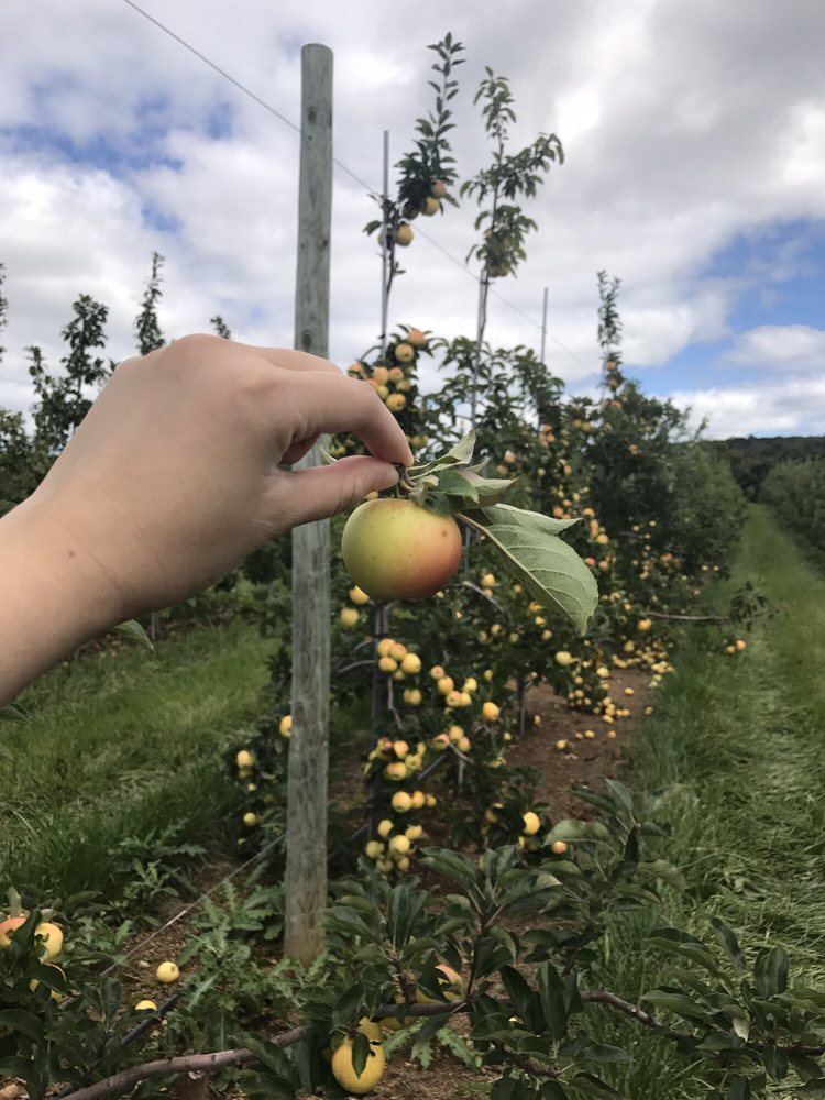 MELICK'S TOWN FARM FARM MARKET - Bridgewater NJ - Hours, Directions ...