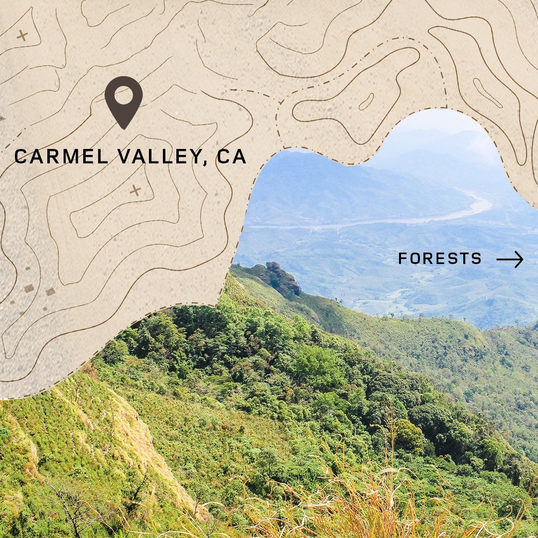 LAND ROVER MT. KISCO - Mount Kisco NY - Hours, Directions, Reviews ...