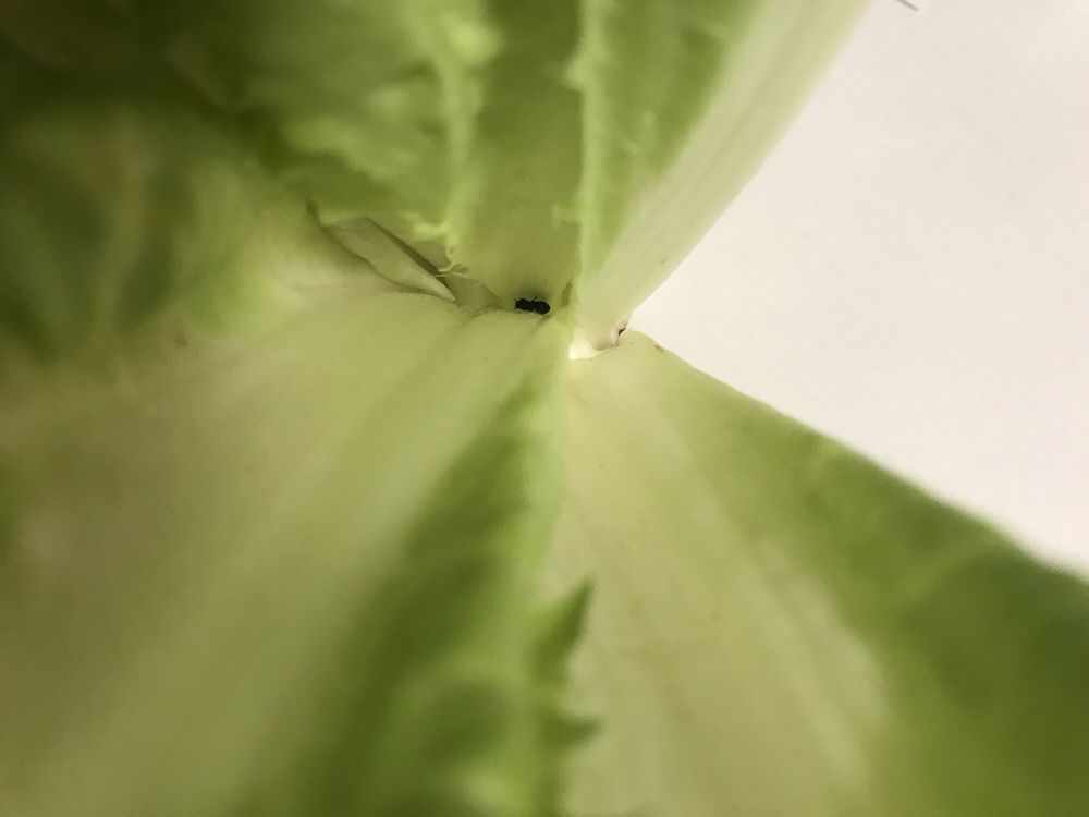 55 FULTON MARKET BY KEYFOOD - 55 Fulton St, New York NY - Hours ...