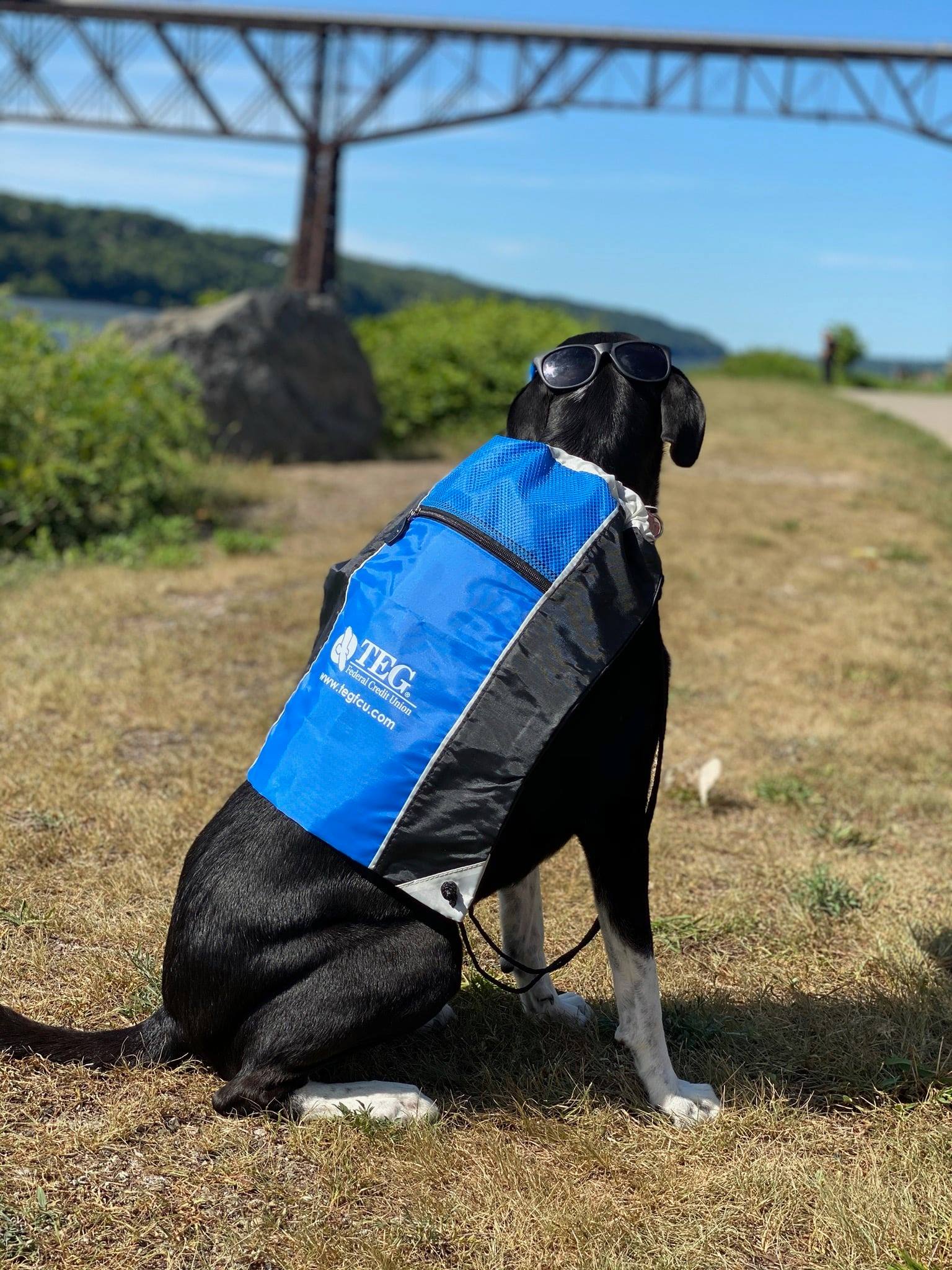 TEG FEDERAL CREDIT UNION - Poughkeepsie NY - Hours, Directions, Reviews ...