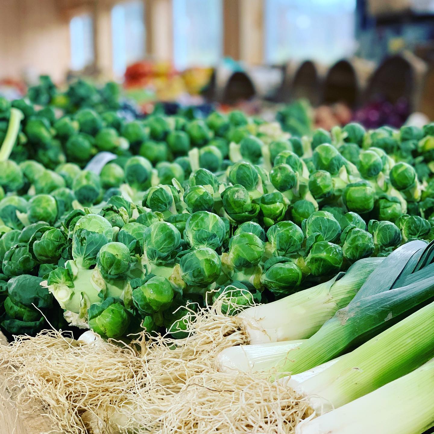 Russell Farms Vestal New York at Samantha Hanlon blog
