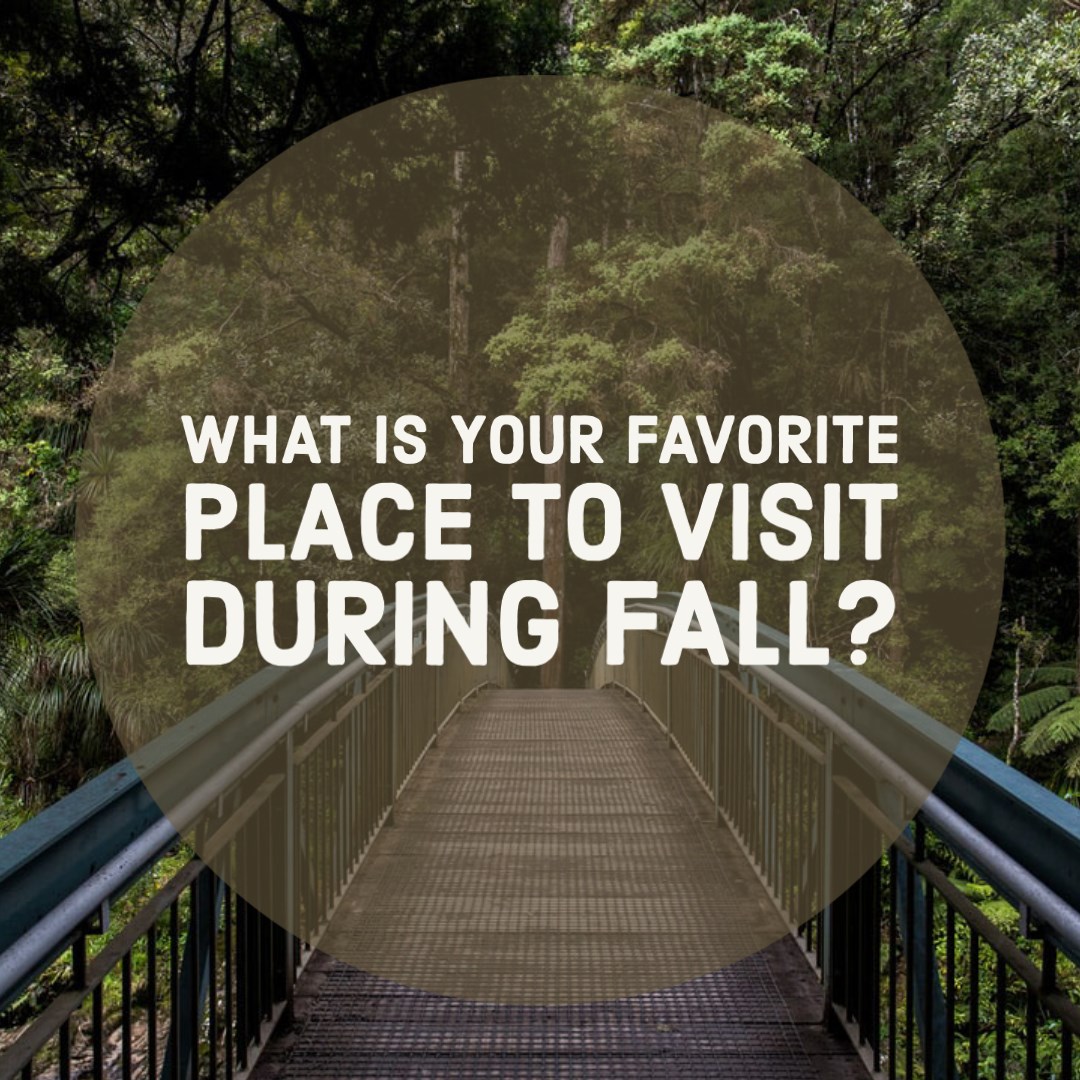 FIN FEATHER FUR OUTFITTERS - ASHLAND - Ashland OH - Hours, Directions ...