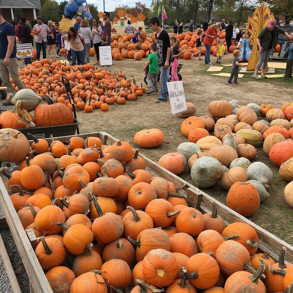 SHAW FARMS - Milford OH - Hours, Directions, Reviews - Loc8NearMe