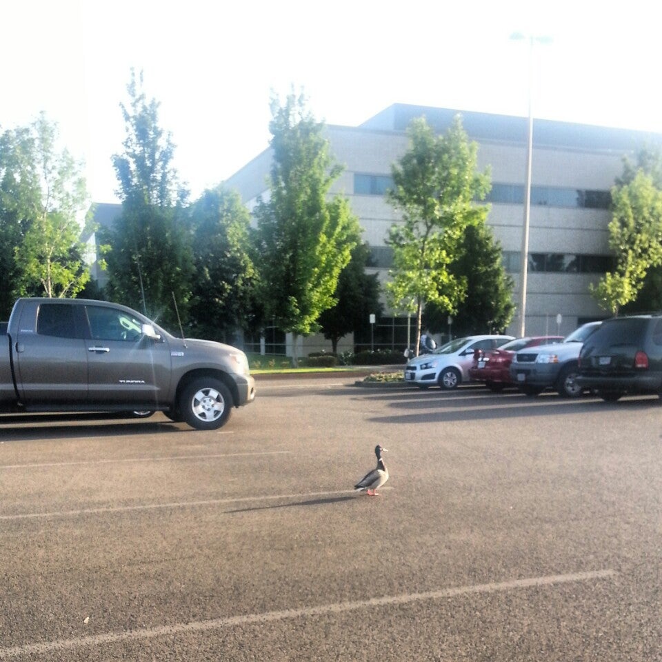 INTEL JONES FARM CAMPUS - Hillsboro OR - Hours, Directions, Reviews ...