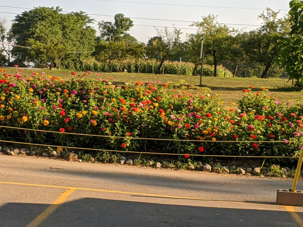 AMBROSE FARM MARKET - Cabot PA - Hours, Directions, Reviews - Loc8NearMe
