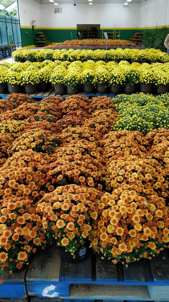 PRODUCE JUNCTION - Exton PA - Hours, Directions, Reviews - Loc8NearMe