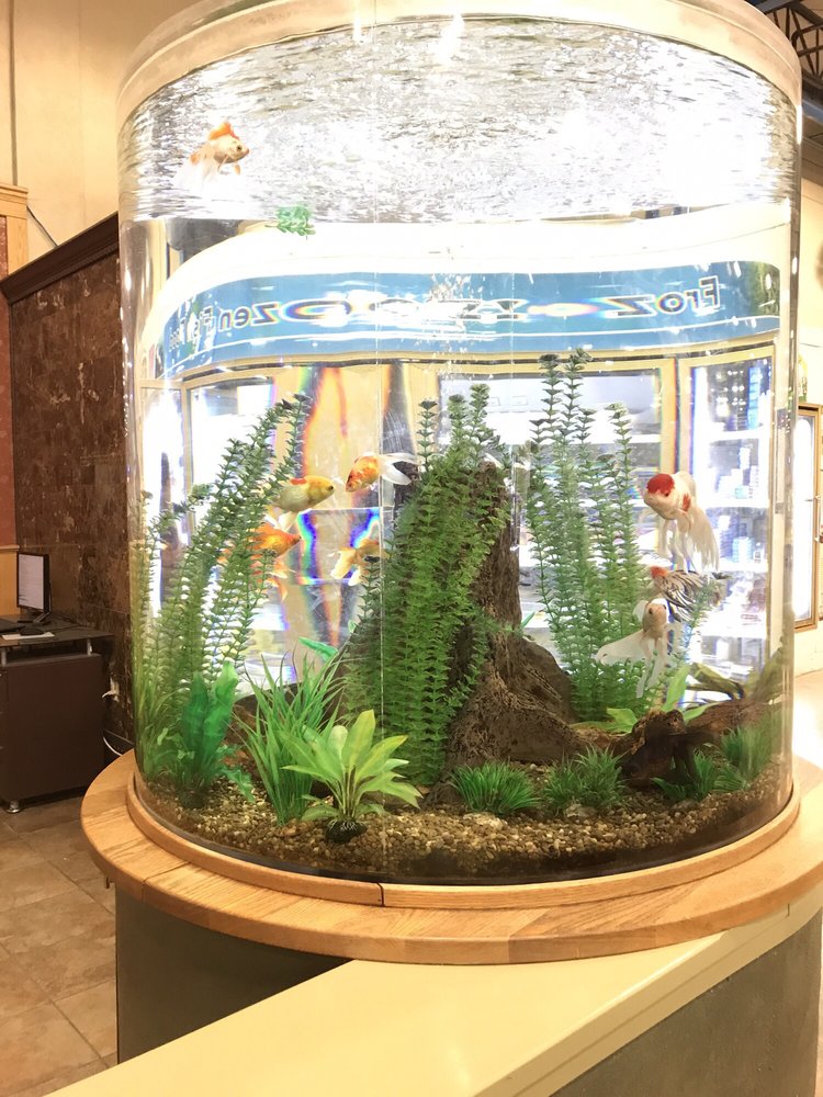 THAT FISH PLACE - THAT PET PLACE - Lancaster PA - Hours, Directions ...