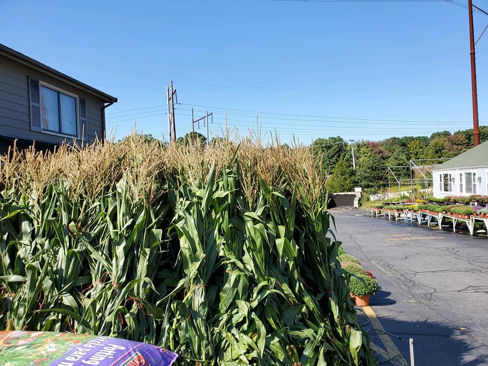 LEEWAY ACE HARDWARE - 790 Great Rd, North Smithfield RI - Hours ...