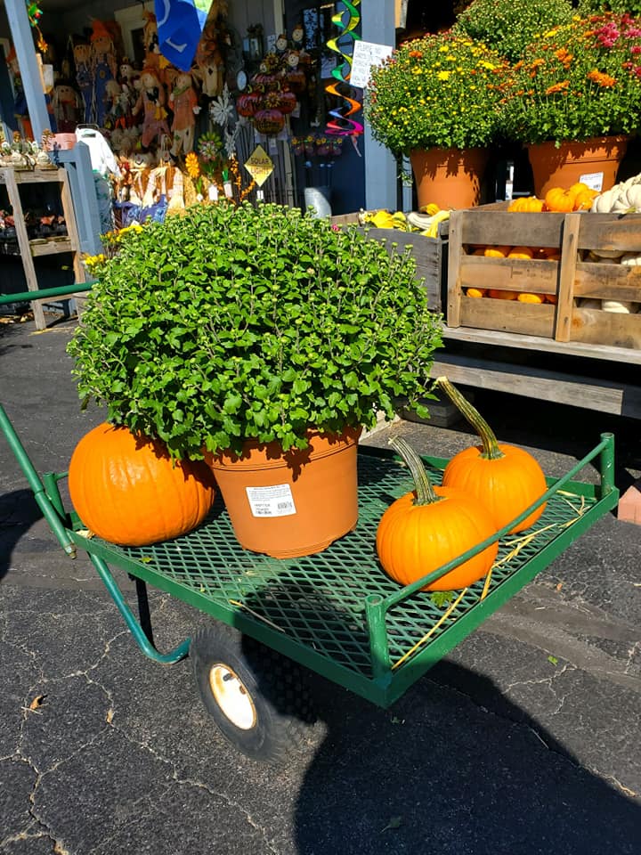 LEEWAY ACE HARDWARE - 790 Great Rd, North Smithfield RI - Hours ...