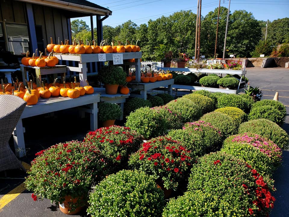 LEEWAY ACE HARDWARE - 790 Great Rd, North Smithfield RI - Hours ...