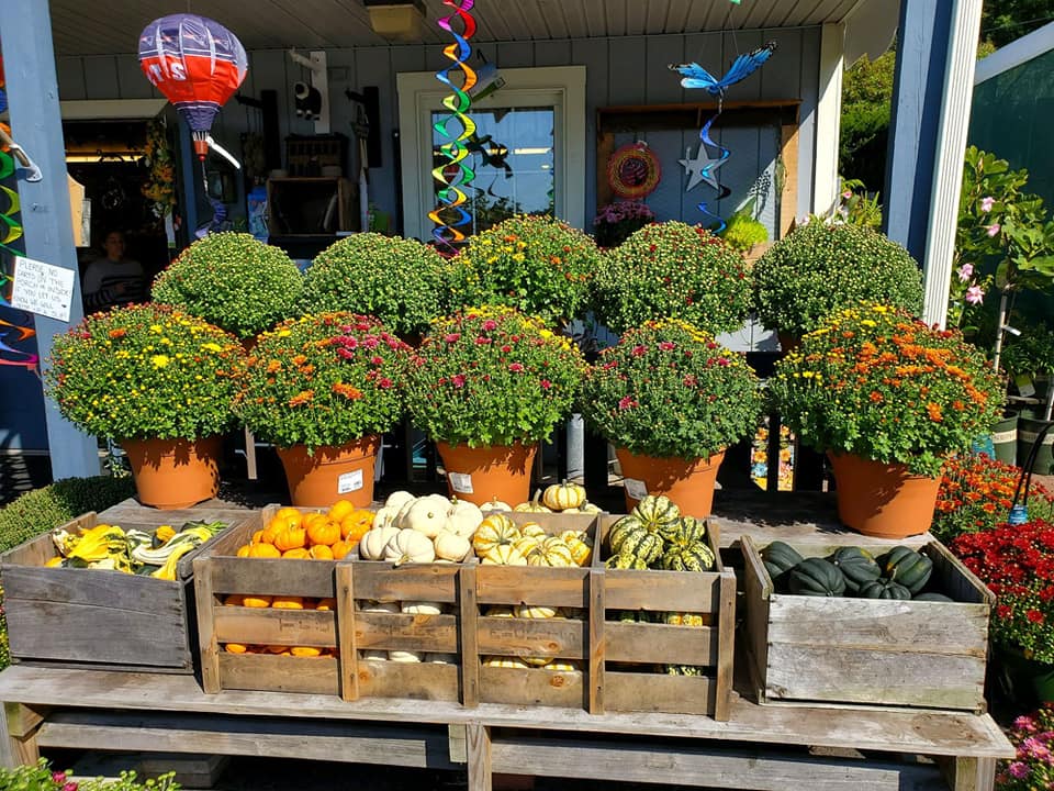 LEEWAY ACE HARDWARE - 790 Great Rd, North Smithfield RI - Hours ...