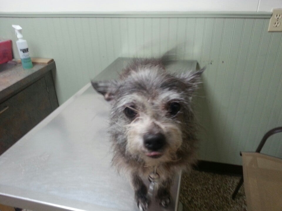 FAIRMONT PET HOSPITAL - Pasadena TX - Hours, Directions, Reviews ...