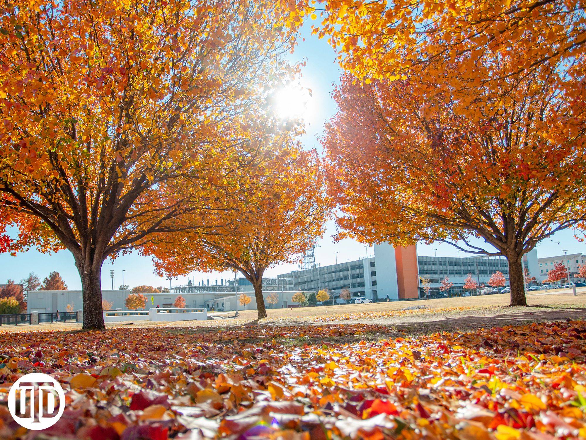 UTD ACTIVITY CENTER - Richardson TX - Hours, Directions, Reviews ...