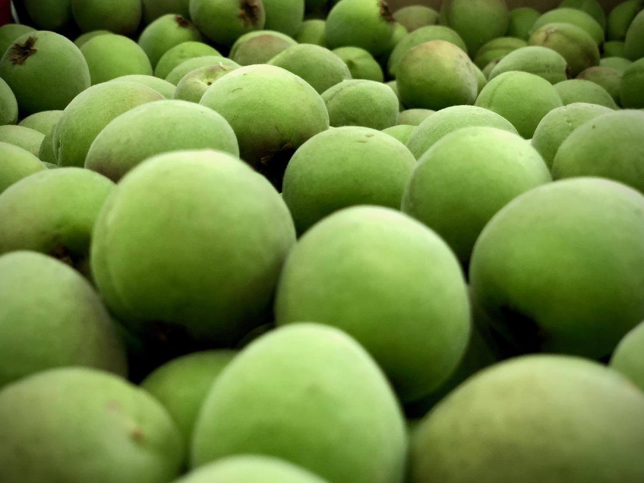 UWAJIMAYA RENTON - Renton WA - Hours, Directions, Reviews - Loc8NearMe