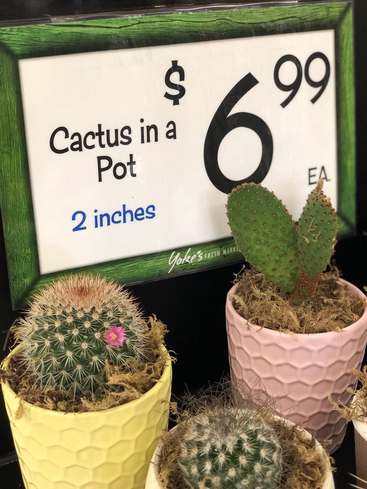 YOKE'S FRESH MARKET - FOOTHILLS - Spokane WA - Hours, Directions ...