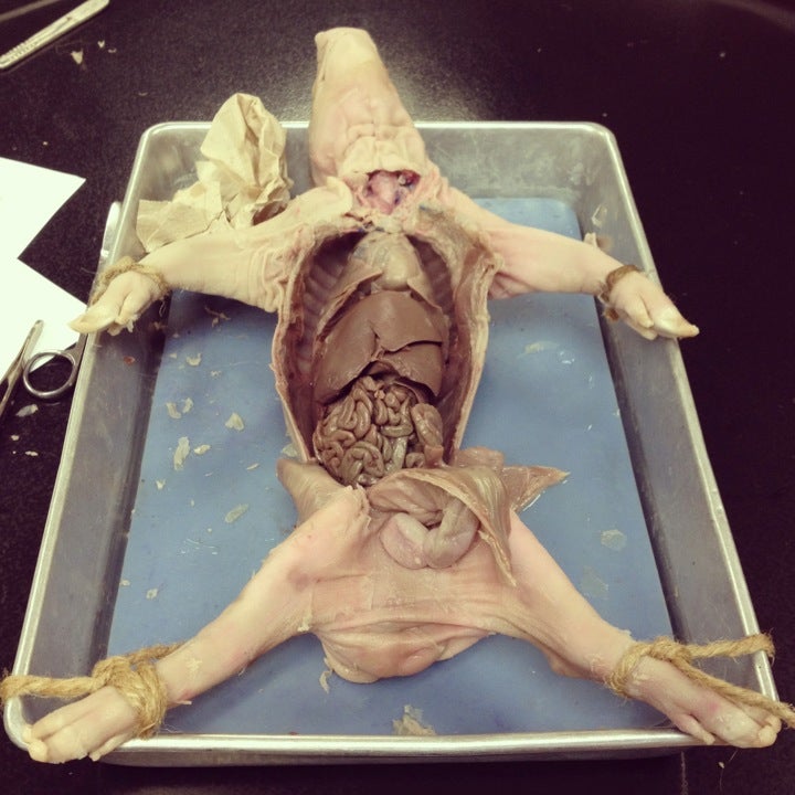 LABCORP - 2102 Wright St, Madison WI - Hours, Directions, Reviews ...