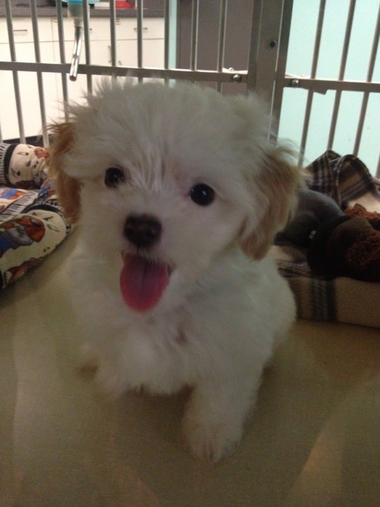 ANIMART PET STORE - Madison WI - Hours, Directions, Reviews - Loc8NearMe